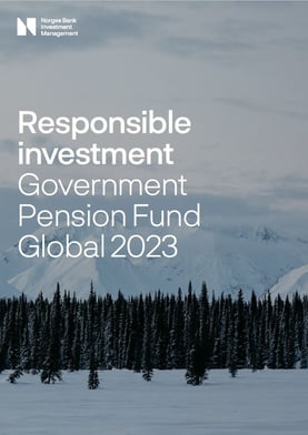 Responsible investment | Norges Bank Investment Management
