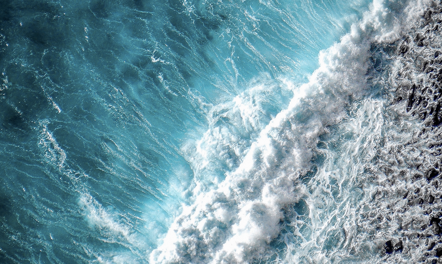 Ocean sustainability | Norges Bank Investment Management